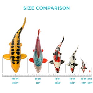 Koi Fish Figure (premium) - [lunar New Year Edition] - Resin ...