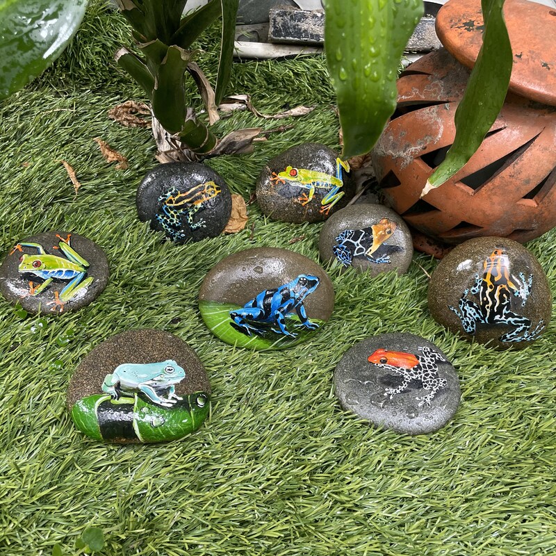 Frog on a Rock - Etsy