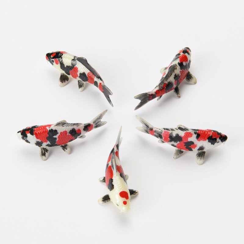 Miniature Koi Fish - Etsy