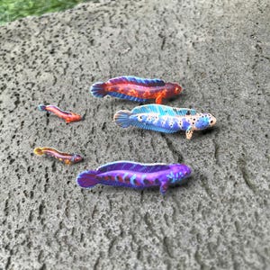 Channa Barca Snakehead Resin Figurine – Hand-painted Mini Sculpture, 2 ...