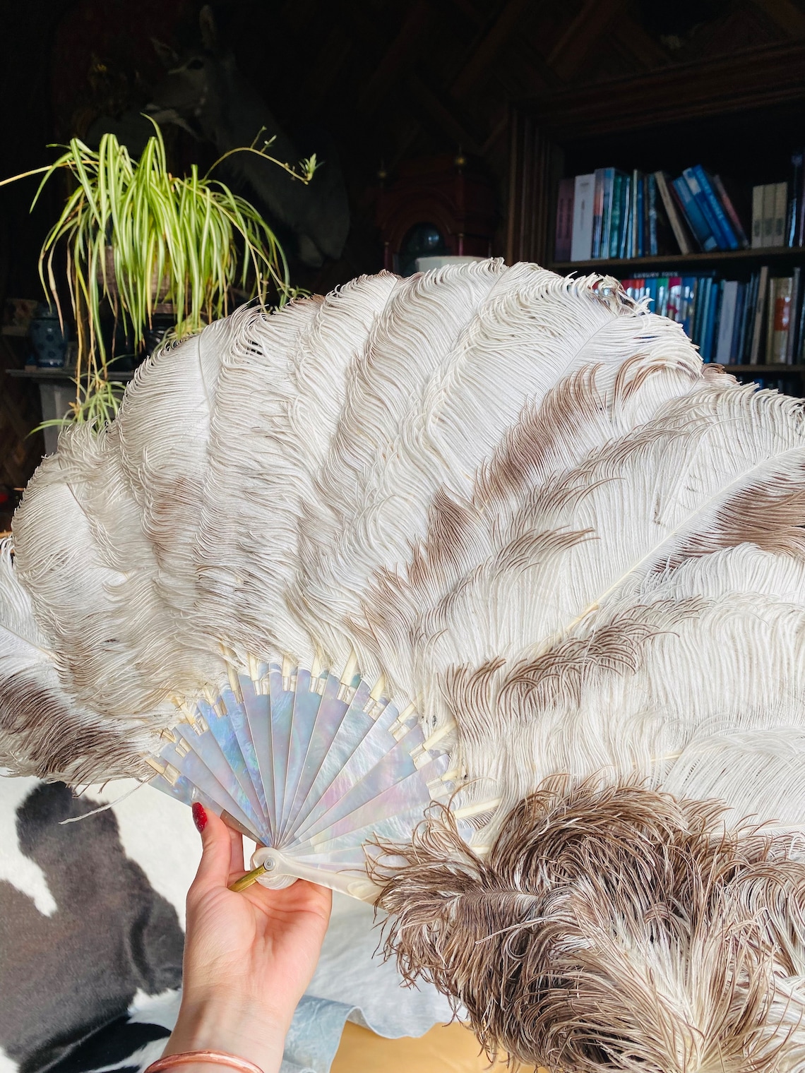Gorgeous Antique Large Ostrich Feather Fan With Mother of Pearl Handle ...