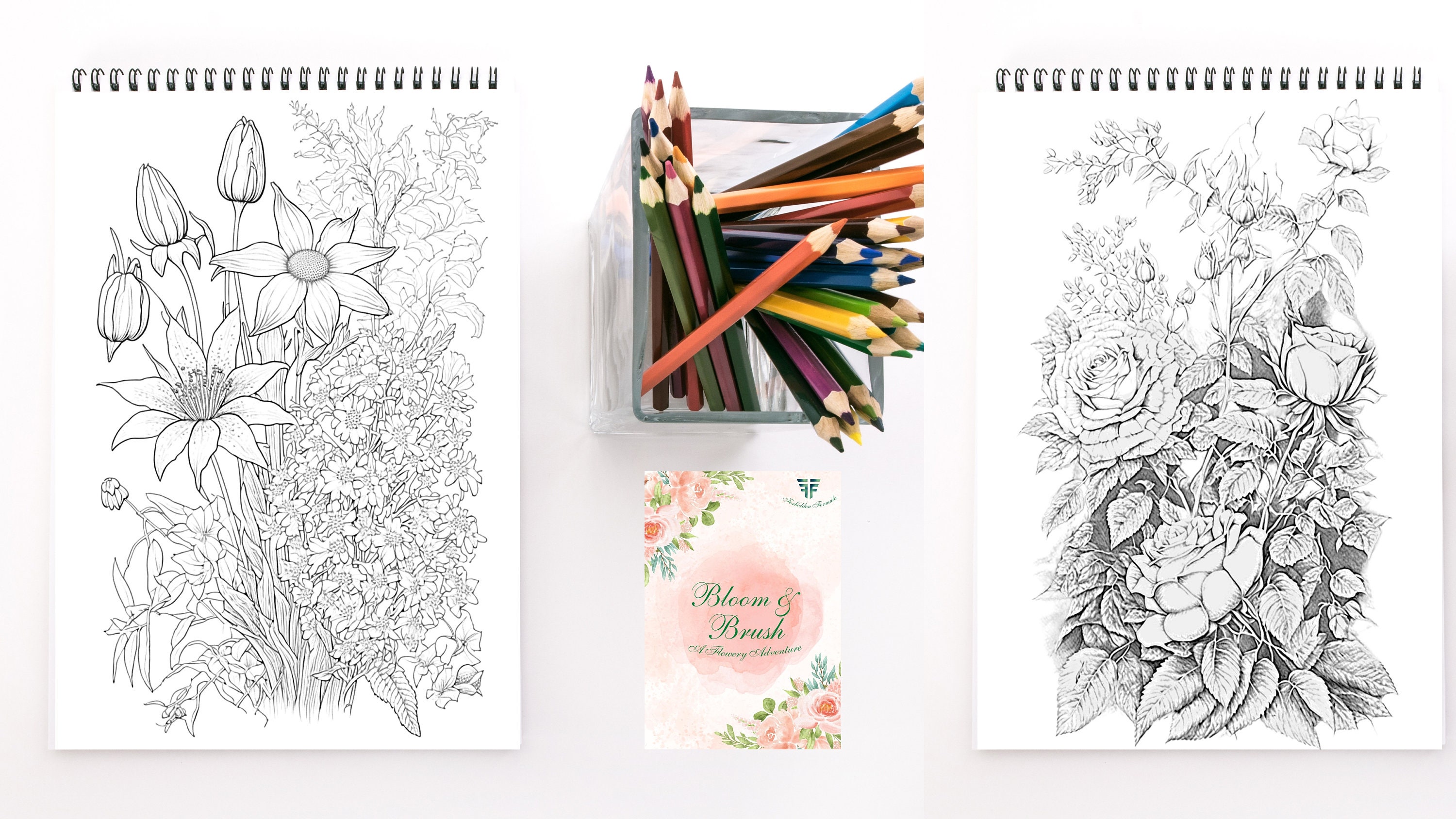 Bloom & Brush A Flowery Adventure Adult Coloring Book Printable Adult ...