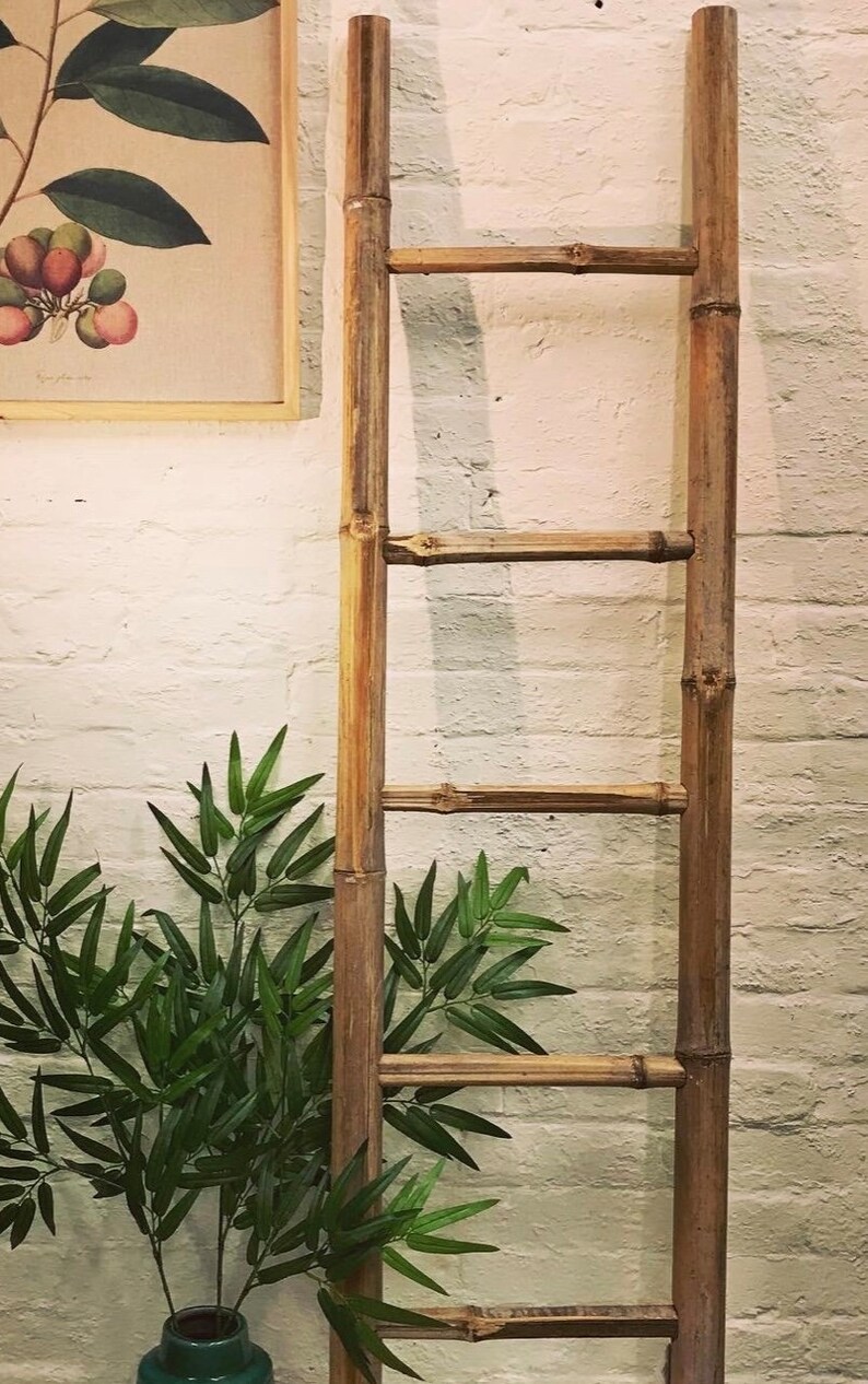 5 Rung Bamboo Ladder Bamboo Shelving Home Decor Stunning Bamboo ...