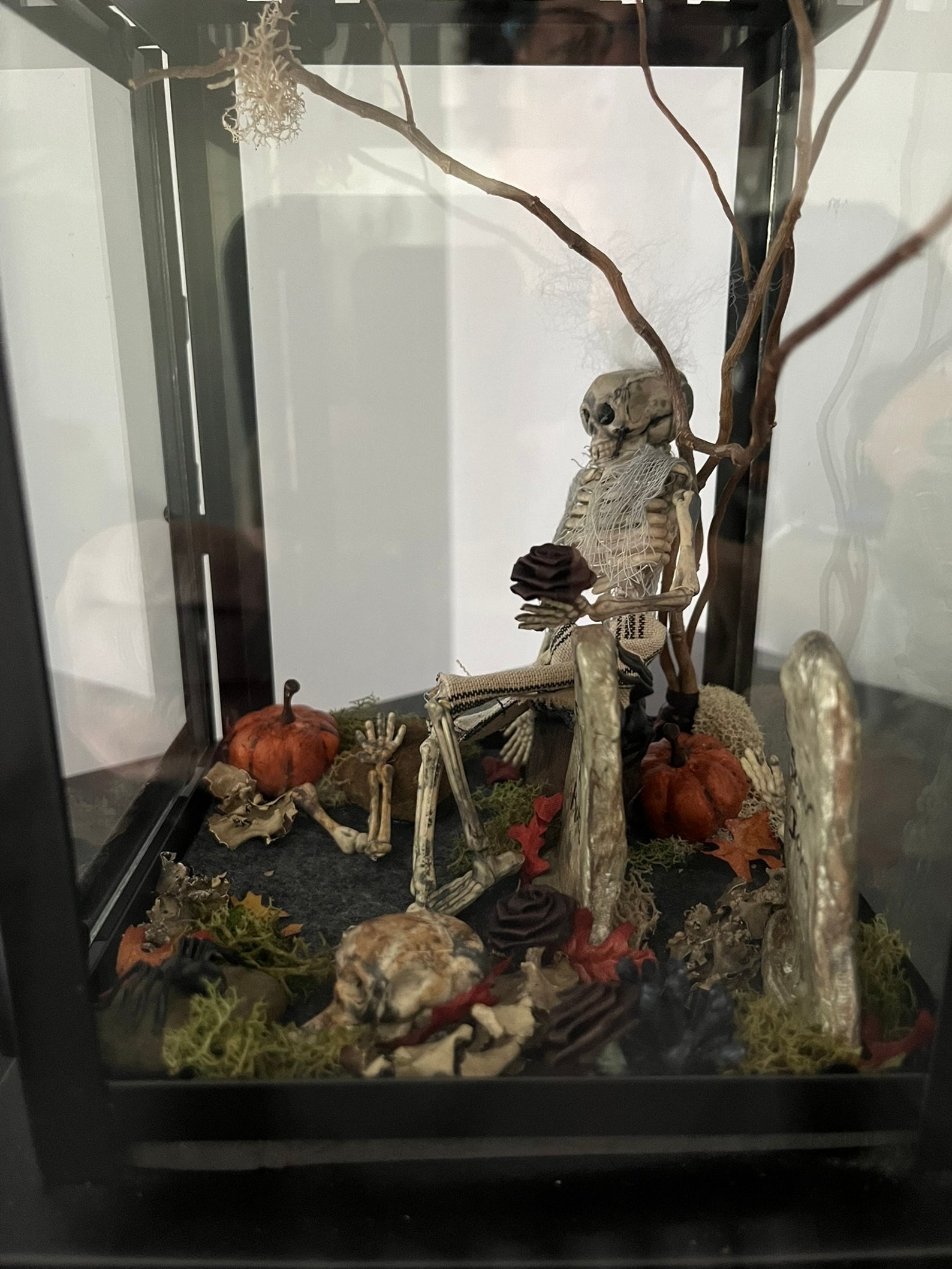 Miniature Skeleton in Lantern Cemetery Scene - Etsy