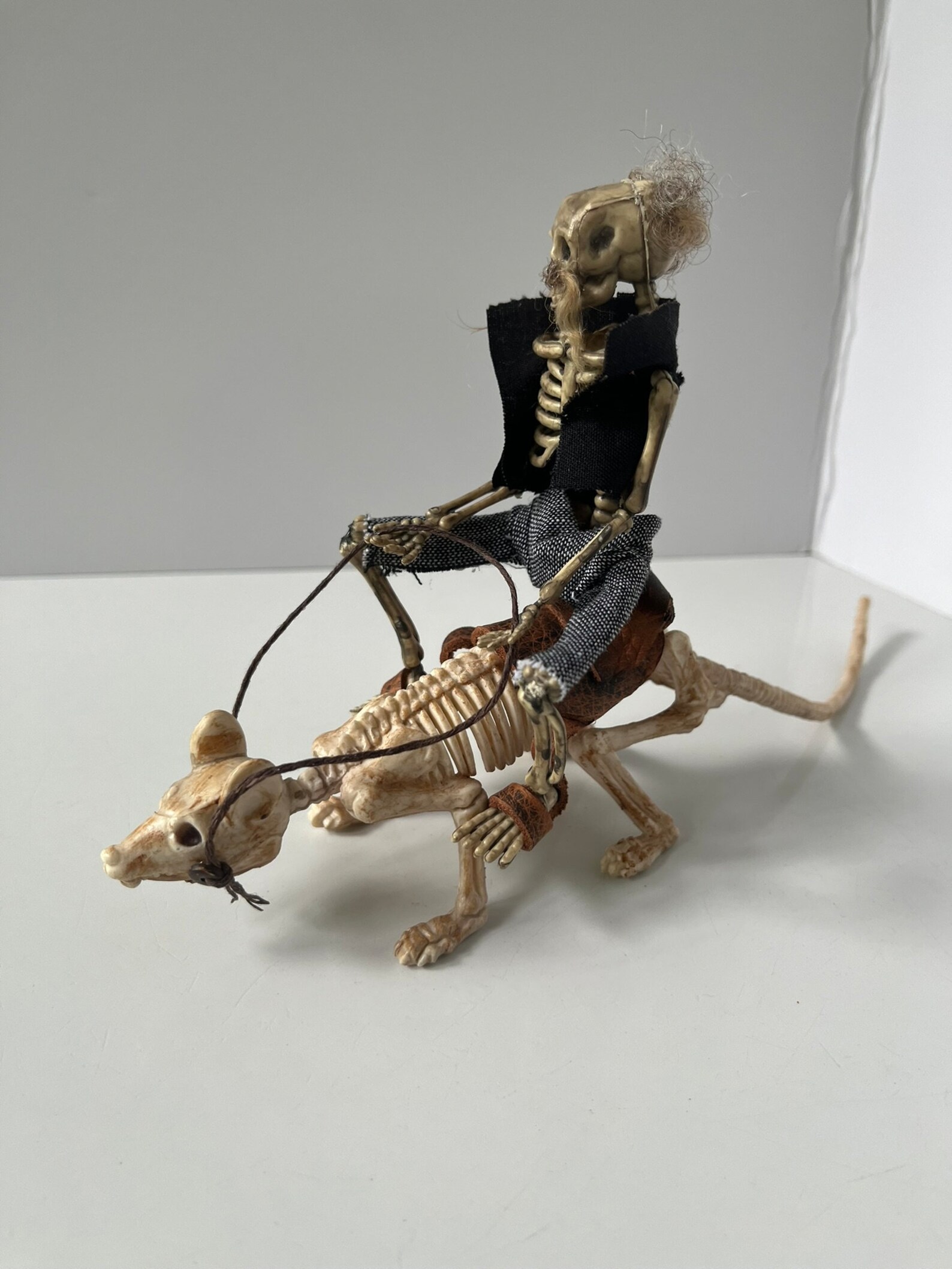 Miniature Skeleton With Mustache Riding Rat - Etsy