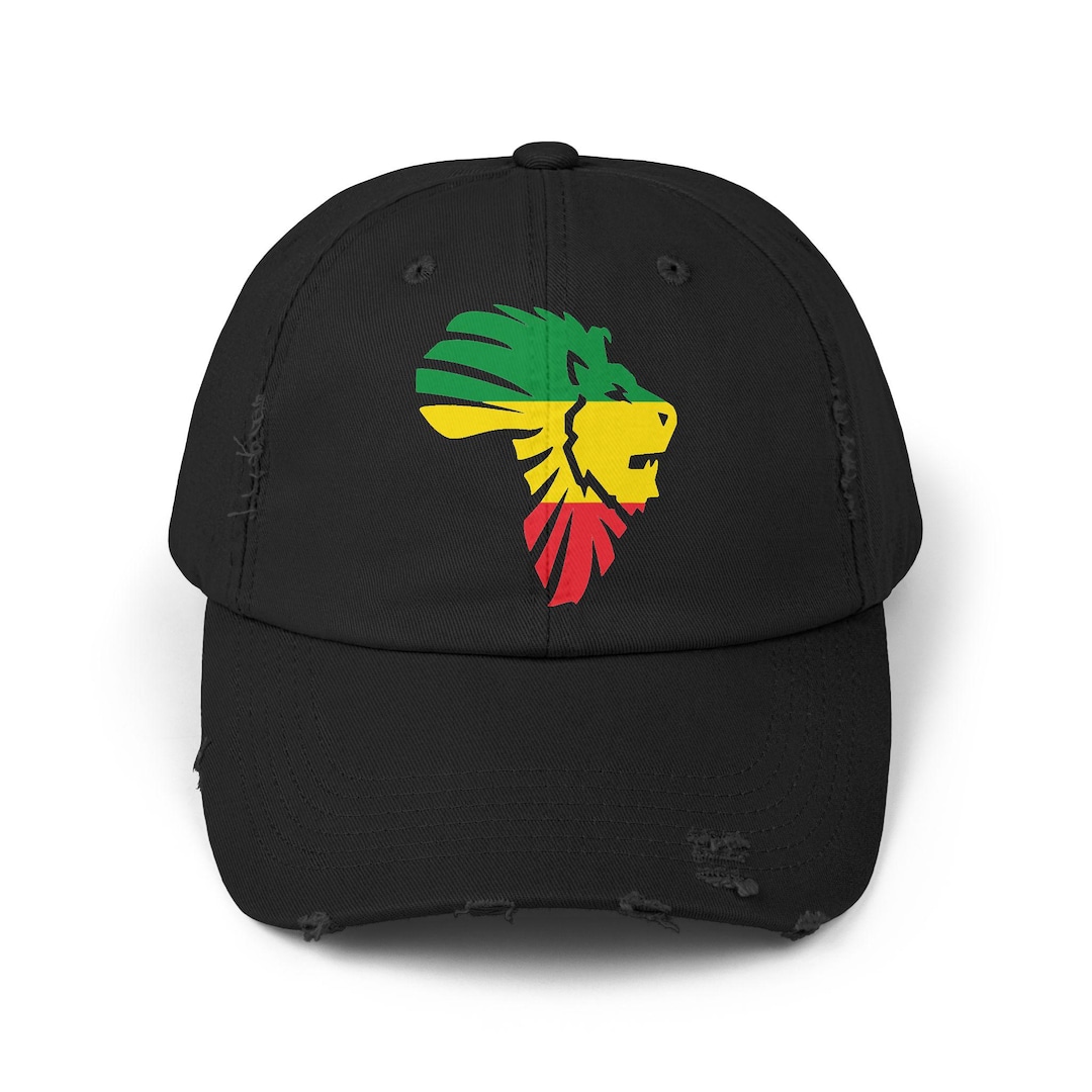 African Lion Flag Animal Kingdom Resort Disney Vacation Club DVC Mickey ...