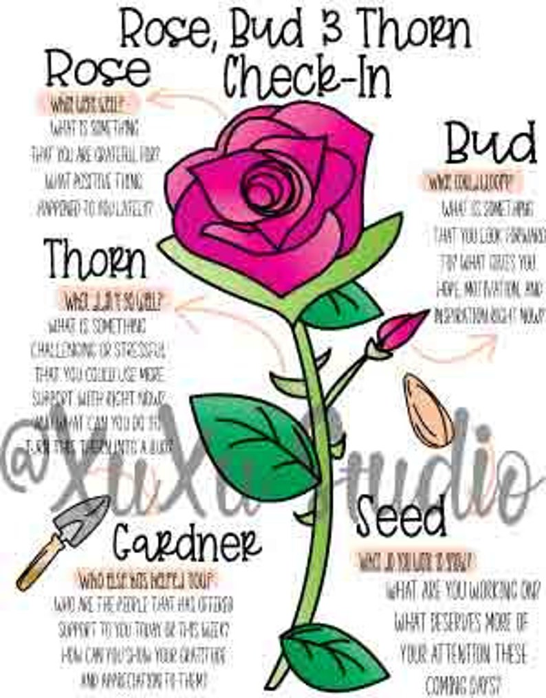 Rose, Bud, Thorn - Etsy