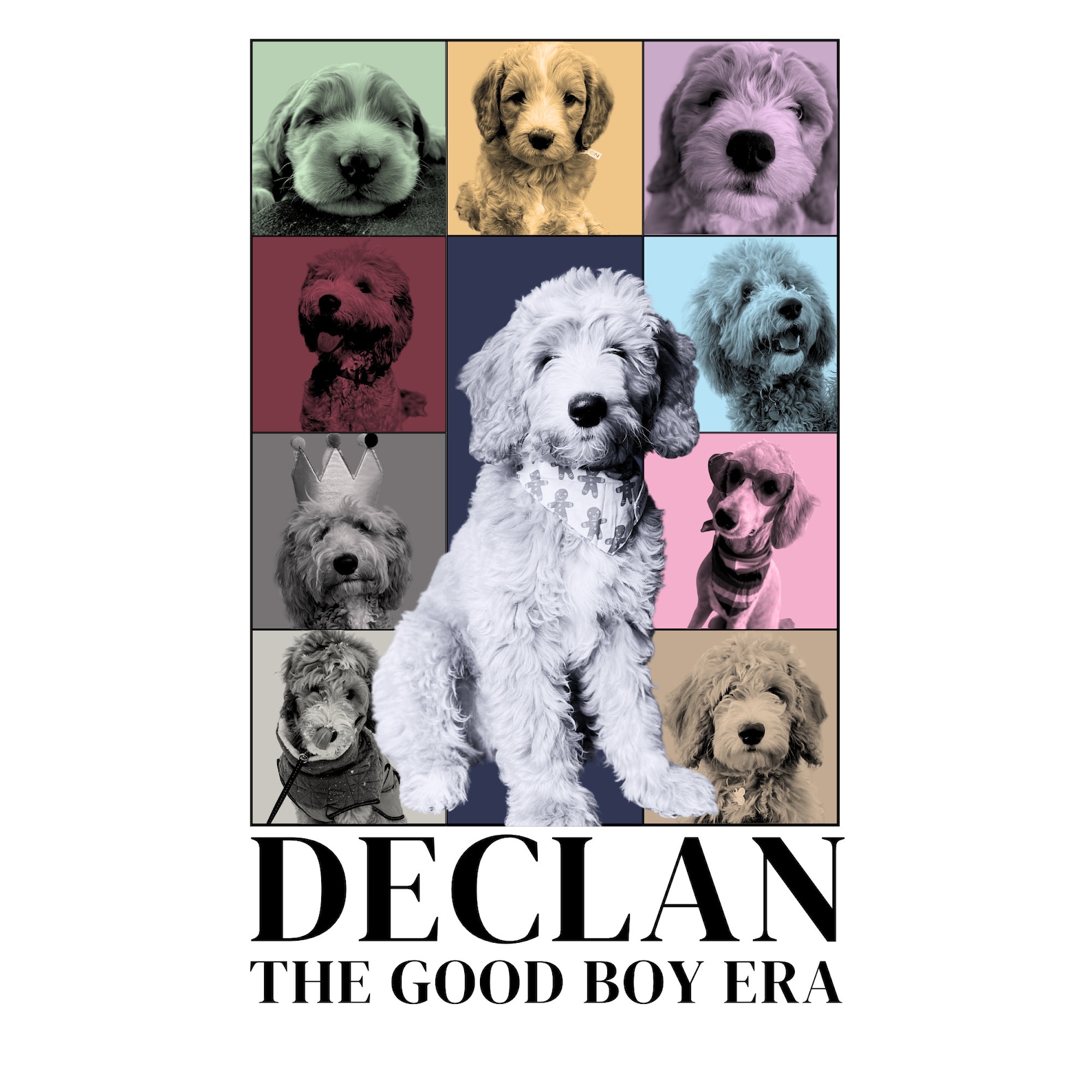 Custom Pet Eras Tour **digital File** - Etsy