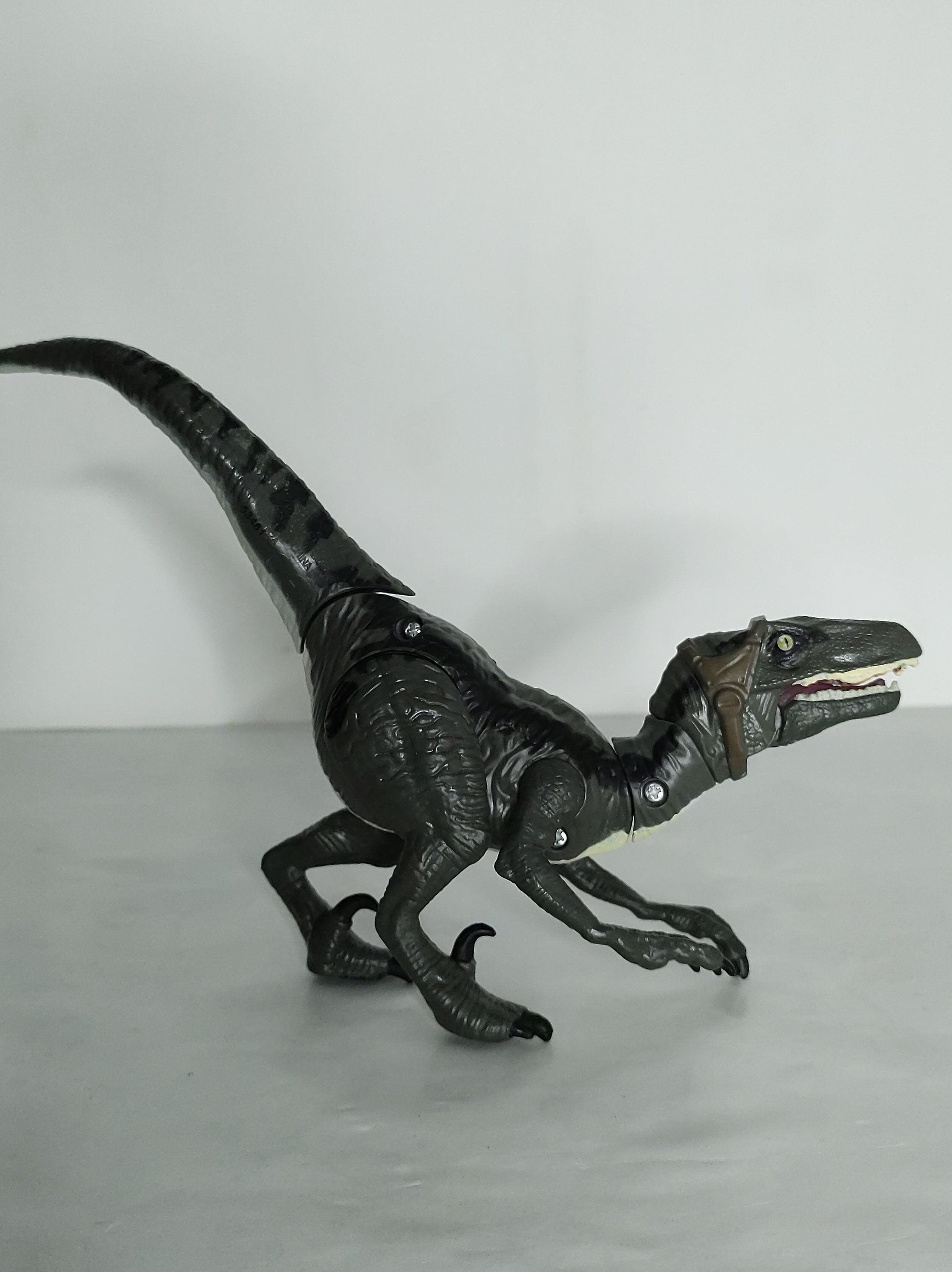 Jurassic World Velociraptor Blue With Head Armor - Etsy