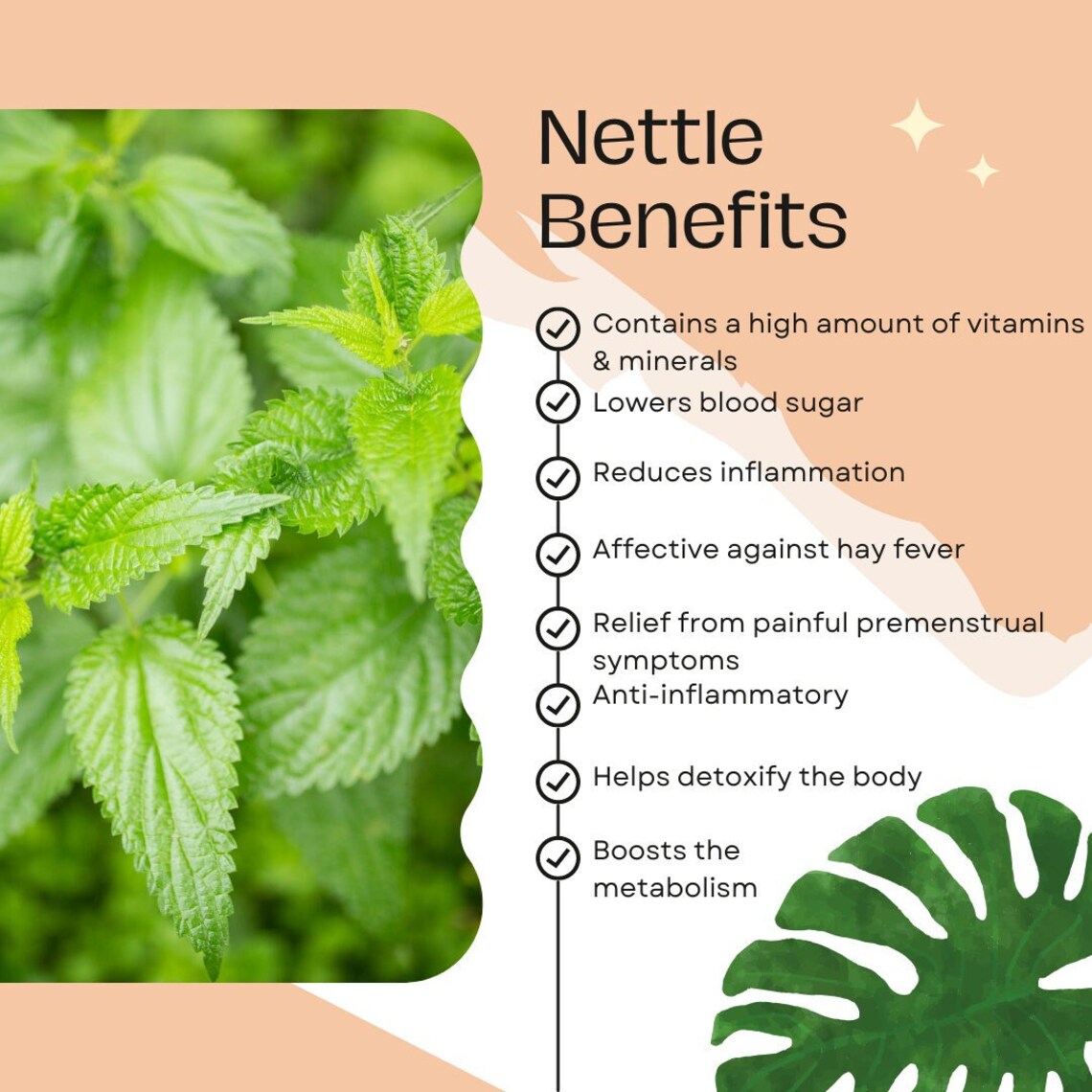 Organic Nettle Leaf Herbs, Nettle Leaf Tea, Organic Herbs, Herbal Tea ...