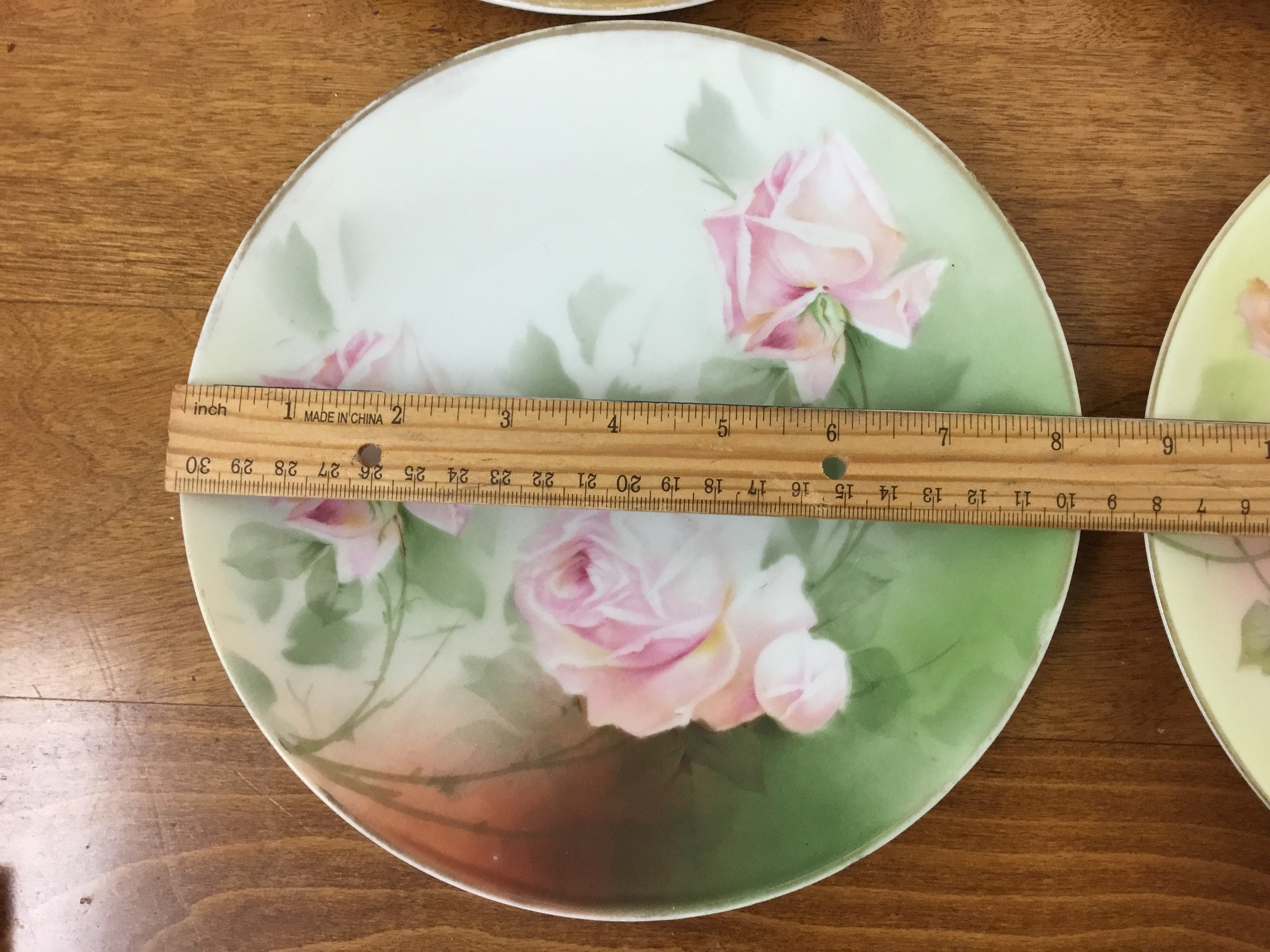 Lot of 5 RS Prussia Germany Antique European Plates - Etsy