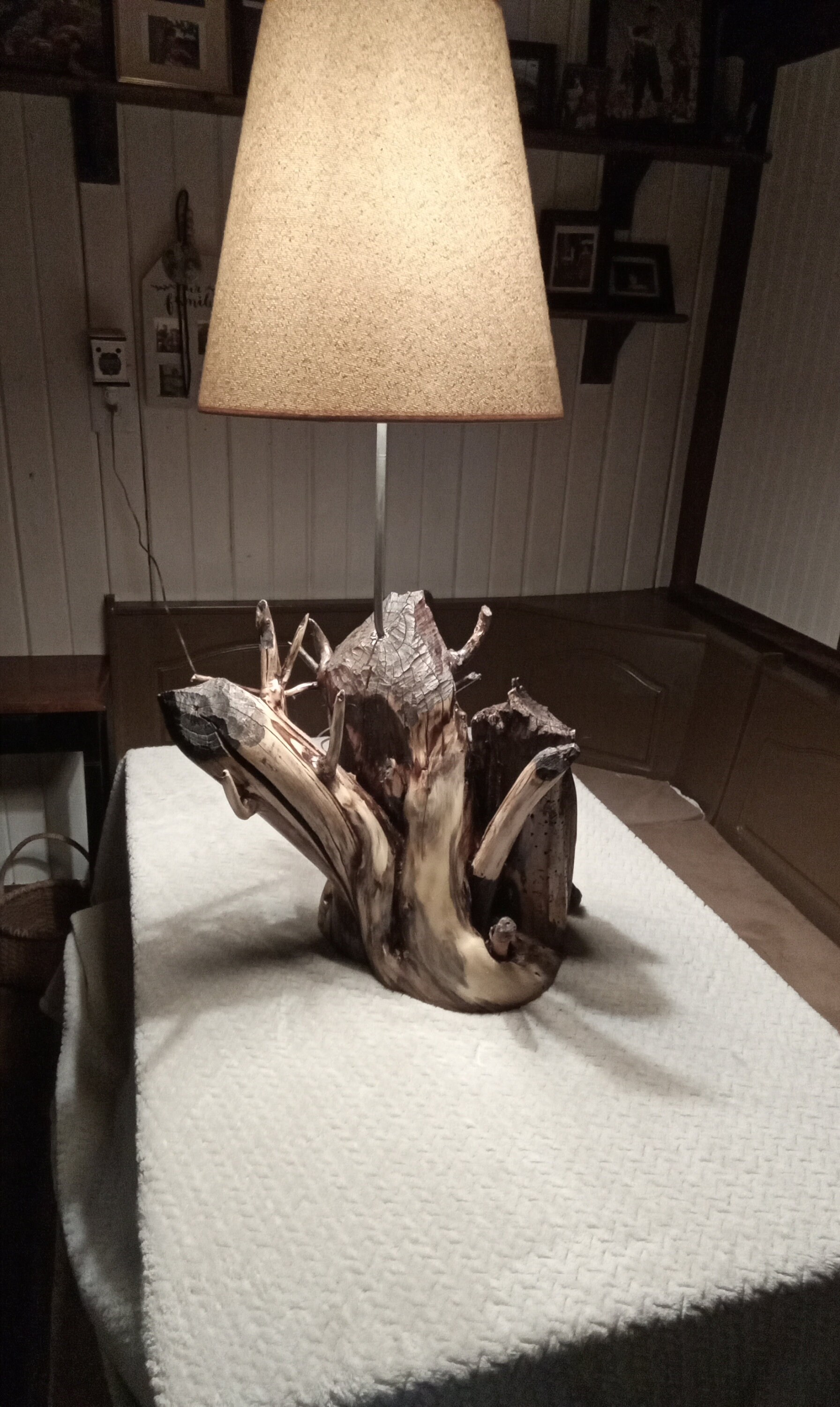 Colorado River Beaver Eaten Lamp - Etsy
