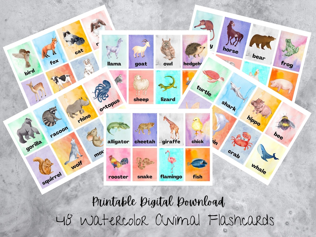 48 Watercolor Animal Flashcards Toddler, Preschool, Homeschooling - Etsy