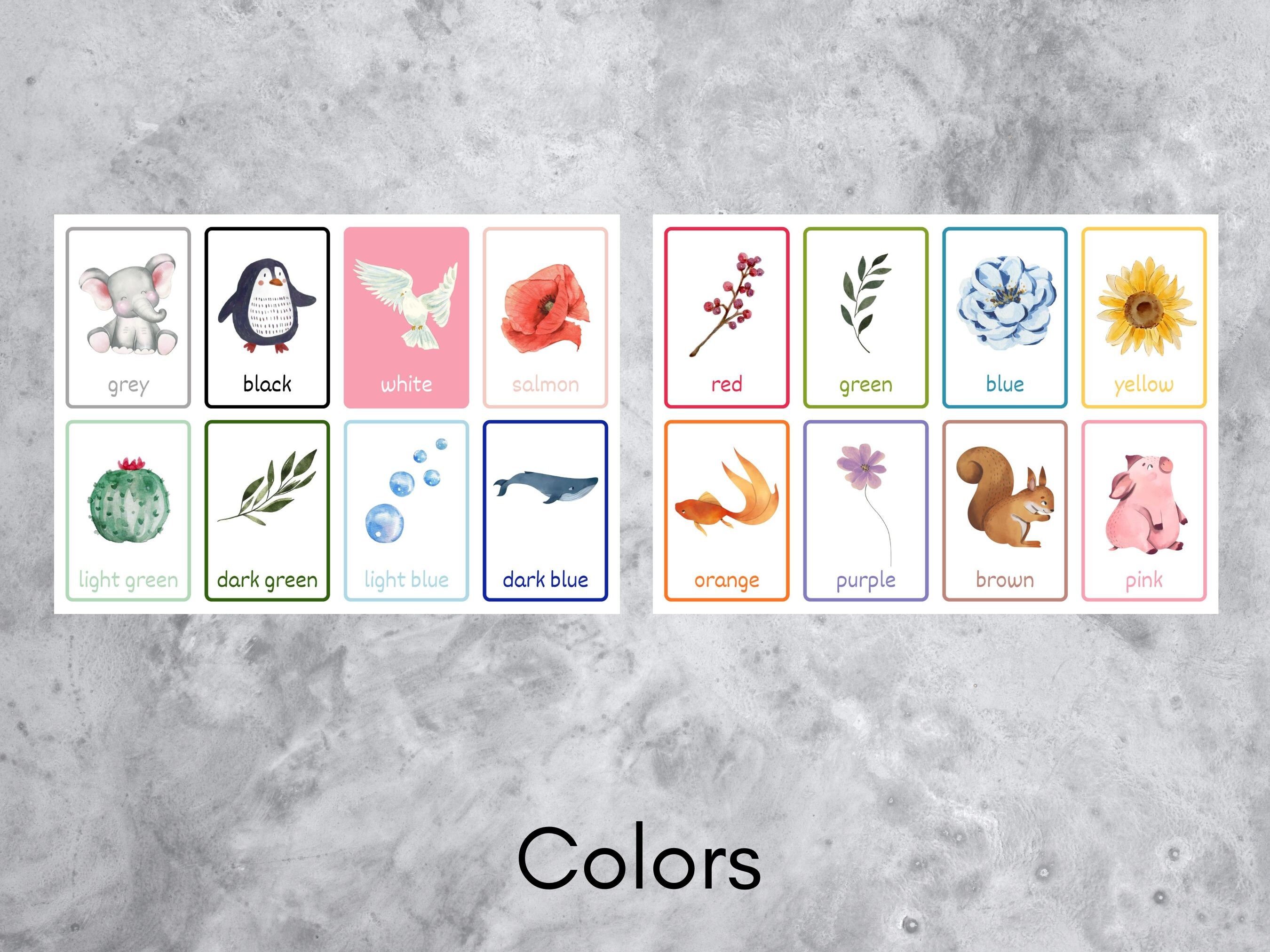 SET OF 5 Printable Watercolor Flashcards Animals Alphabet - Etsy