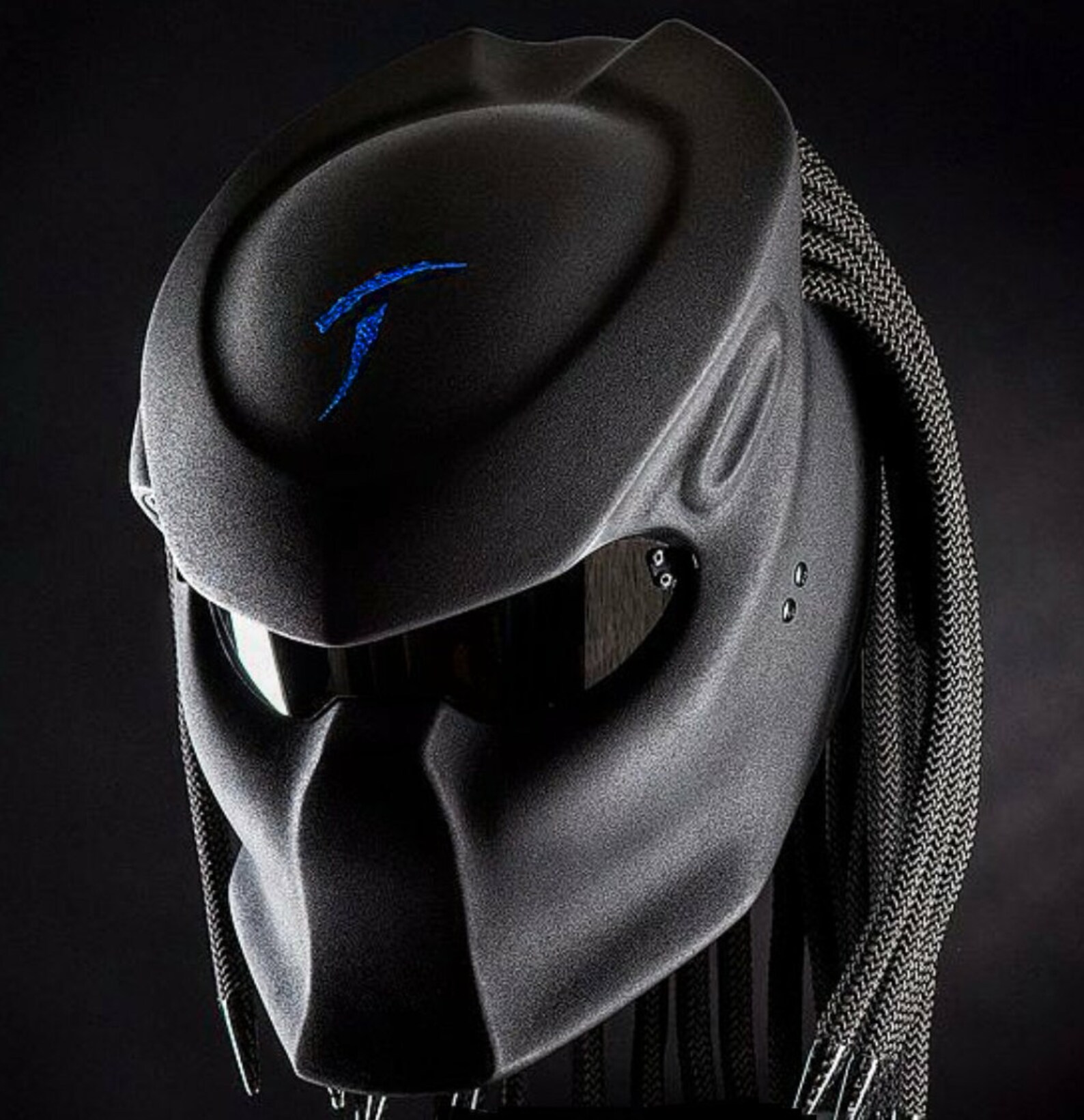 Predator Custom Helmet Logo Blue (dot Ece Certified) - Etsy