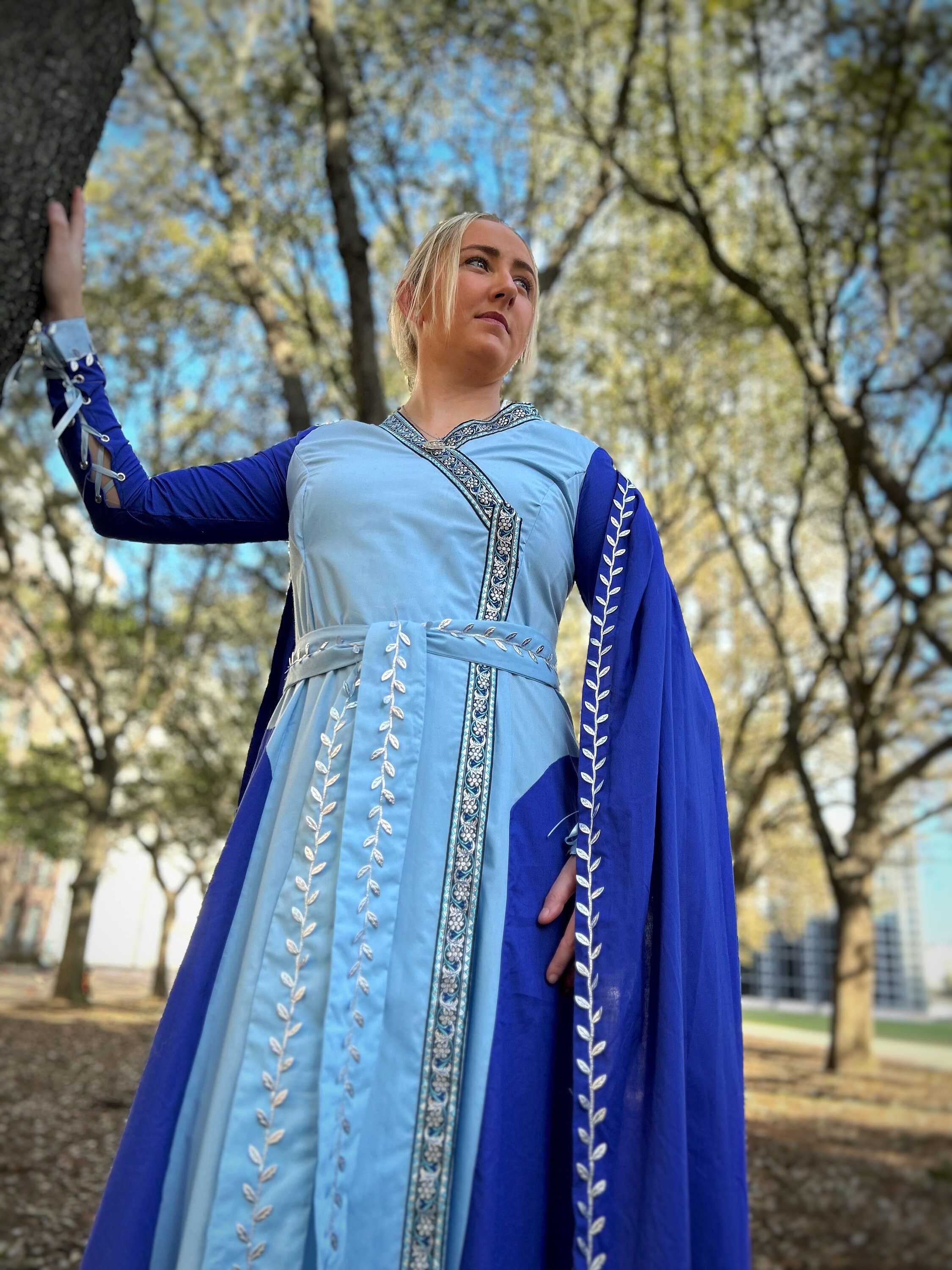 Blue Renaissance Gown the Blue Lady Fantasy Elven Gown - Etsy