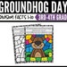 Groundhog Day Division Color by Number Worksheets for 3rd Grade Math ...