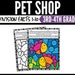 Pet Shop Division Color by Number Worksheets 3rd Grade and 4th Grade ...