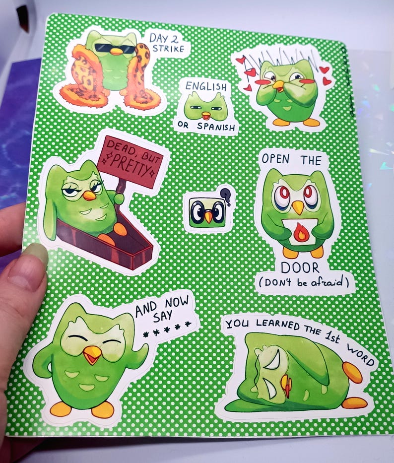 Duolingo Meme Sticker Set - Etsy