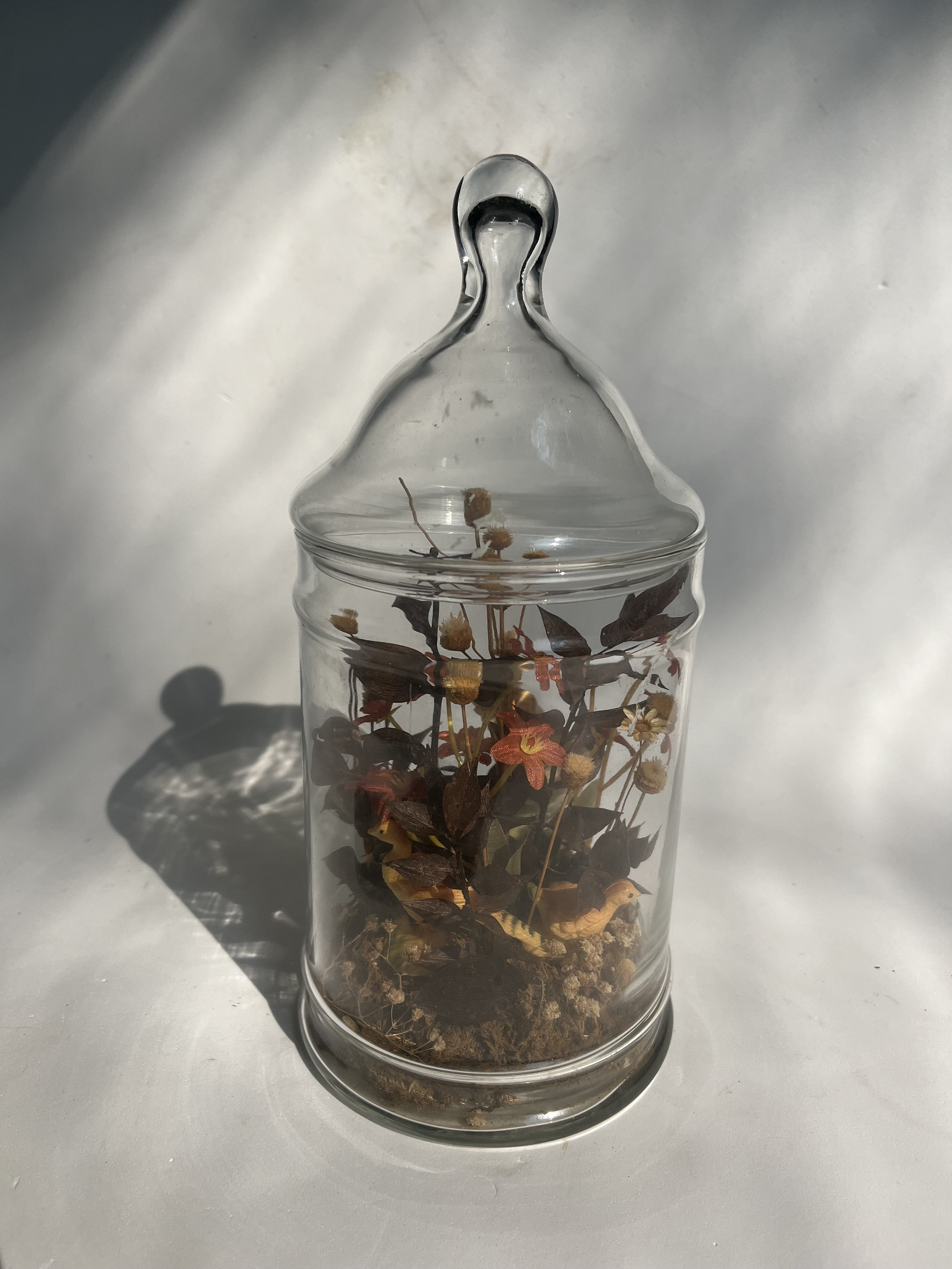 Vintage Handmade Glass / Dried Floral Terrarium With Small Pheasant ...