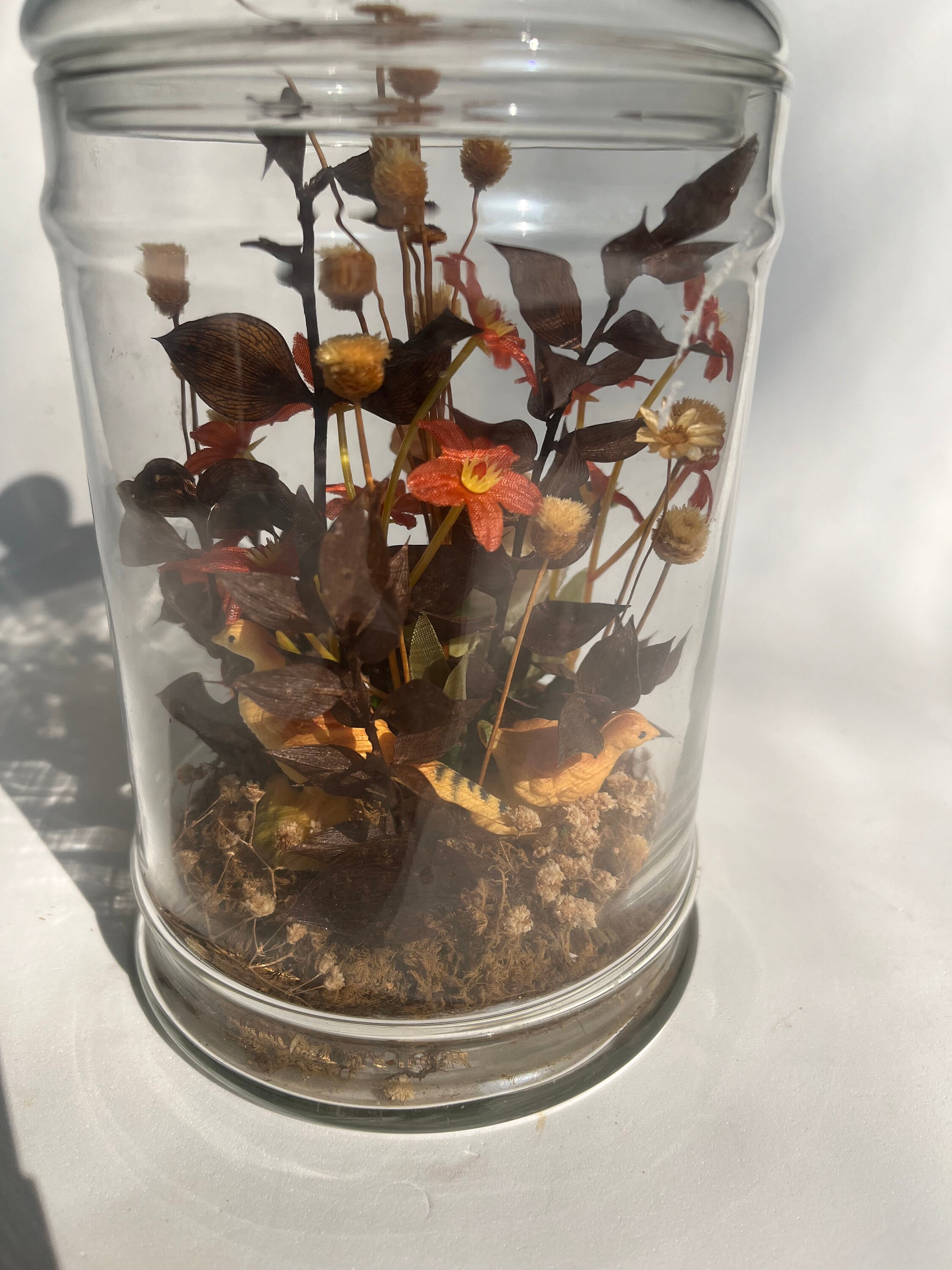 Vintage Handmade Glass / Dried Floral Terrarium With Small Pheasant ...