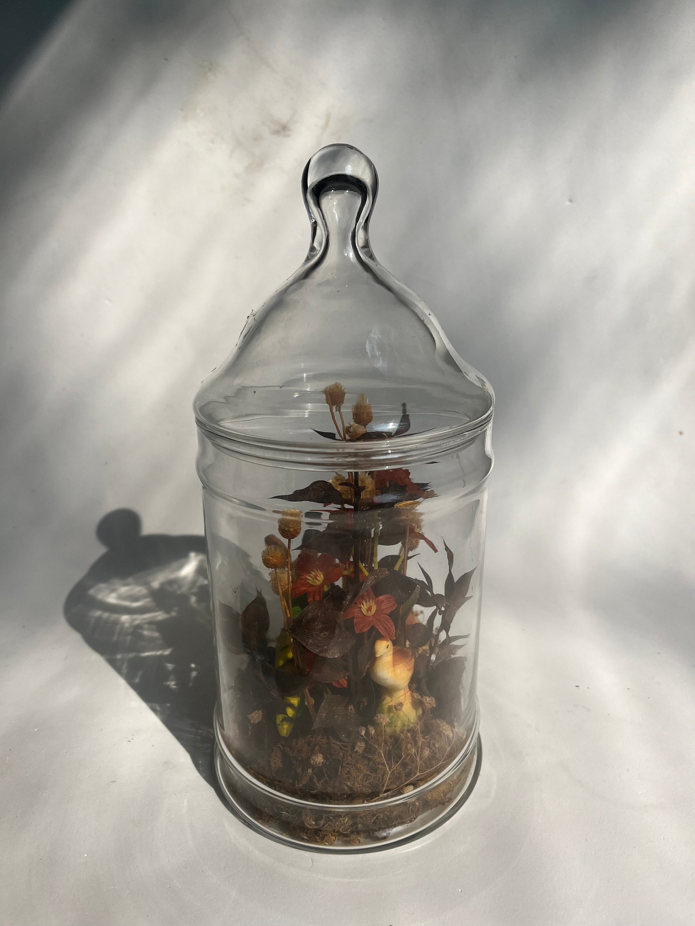 Vintage Handmade Glass / Dried Floral Terrarium With Small Pheasant ...