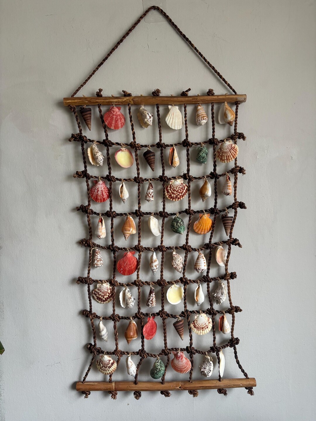 Stunning Vintage Sea Shell Wall Hanging shell Display Wall Art Conch ...