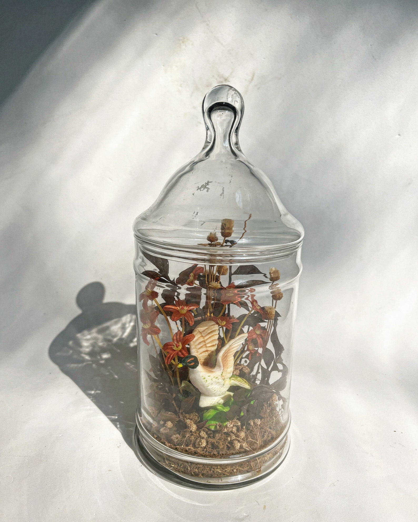 Vintage Handmade Glass / Dried Floral Terrarium With Small Pheasant ...