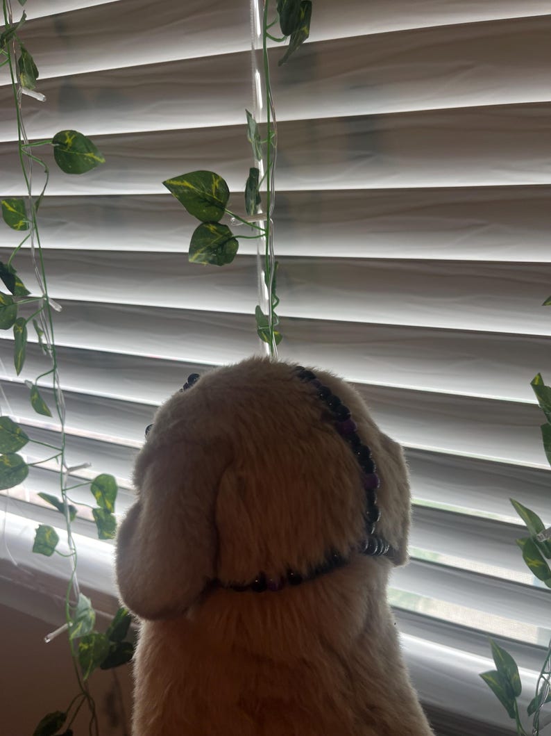 ESSA Dog Kandi Muzzle - Etsy Ireland