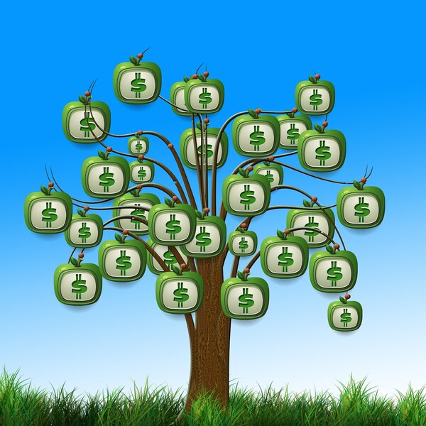 Tall Money Tree - Etsy