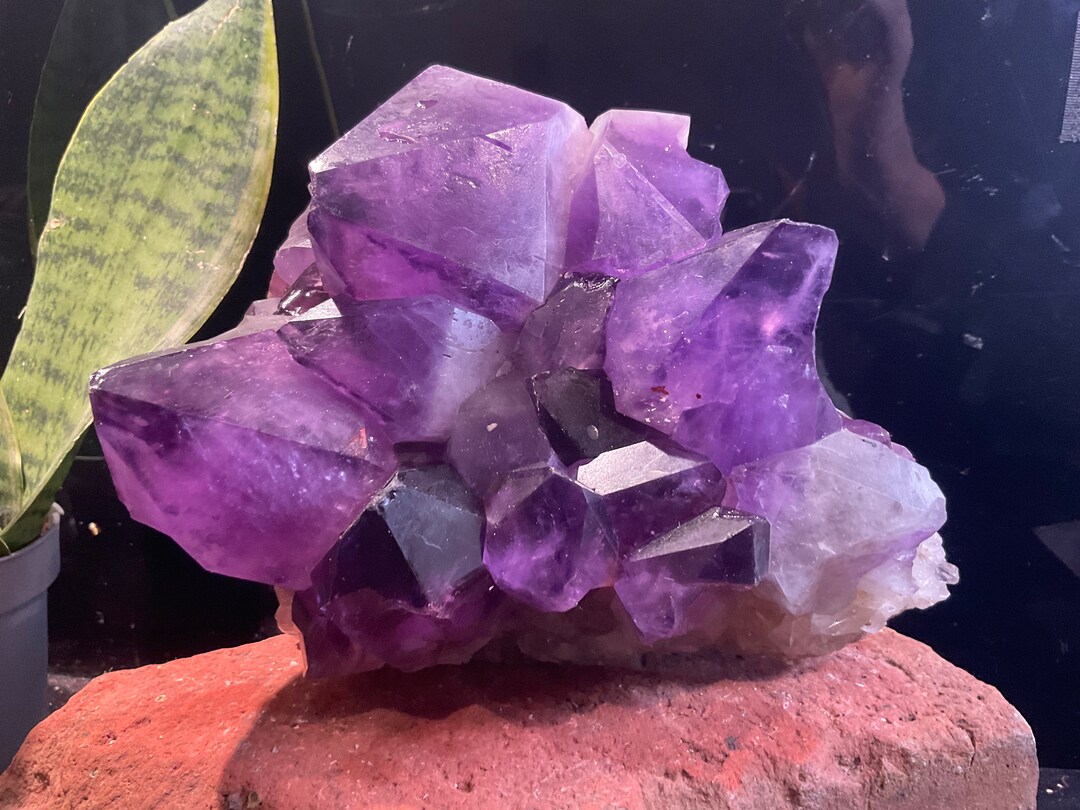 Natural Large Amethyst Pointed Geode Crystal Rough Mineral Specimen ...