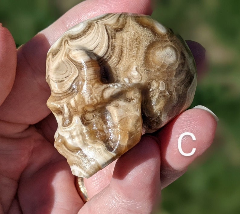 Amber Calcite Skull Carving ~ Honey Calcite Skull - Etsy