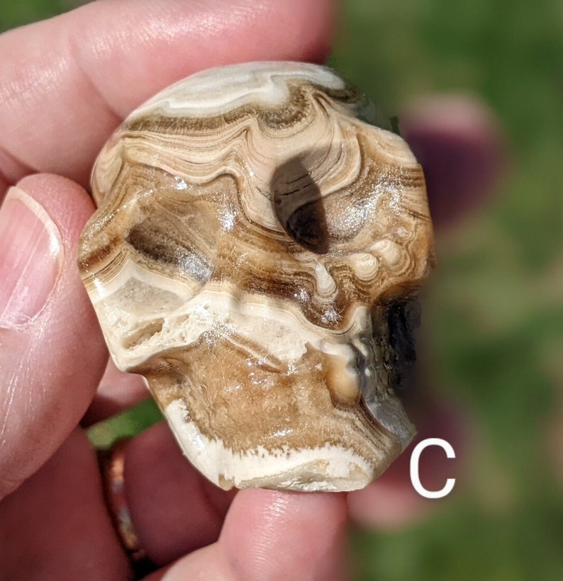 Amber Calcite Skull Carving ~ Honey Calcite Skull - Etsy