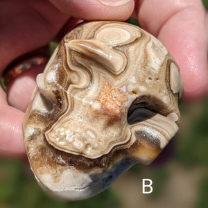 Amber Calcite Skull Carving ~ Honey Calcite Skull - Etsy