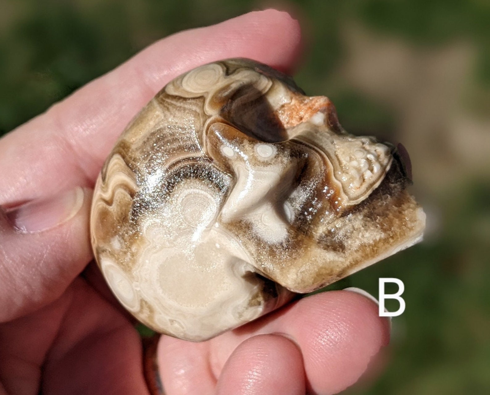 Amber Calcite Skull Carving ~ Honey Calcite Skull - Etsy
