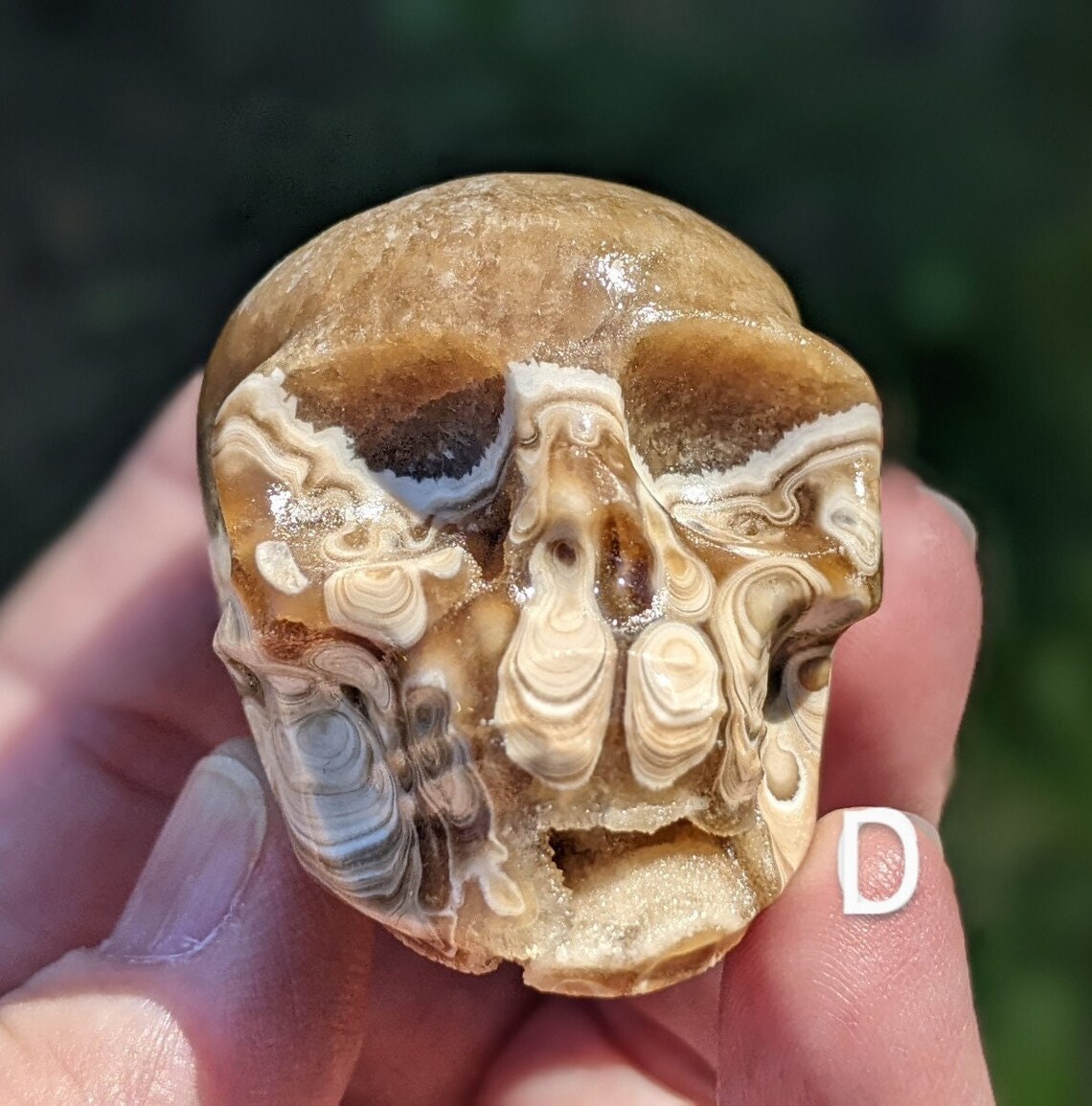 Amber Calcite Skull Carving ~ Honey Calcite Skull - Etsy