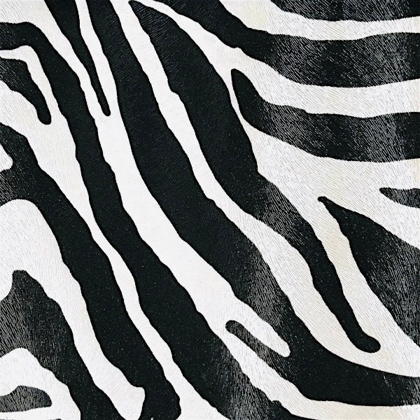 Modern Sofa Bed Zebra Print Upholstery Fabric