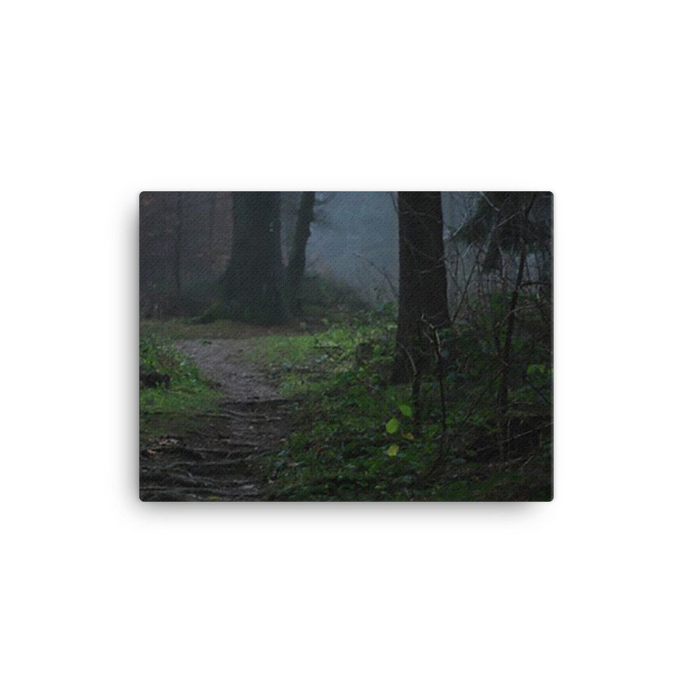 Forest Path Canvas - Etsy