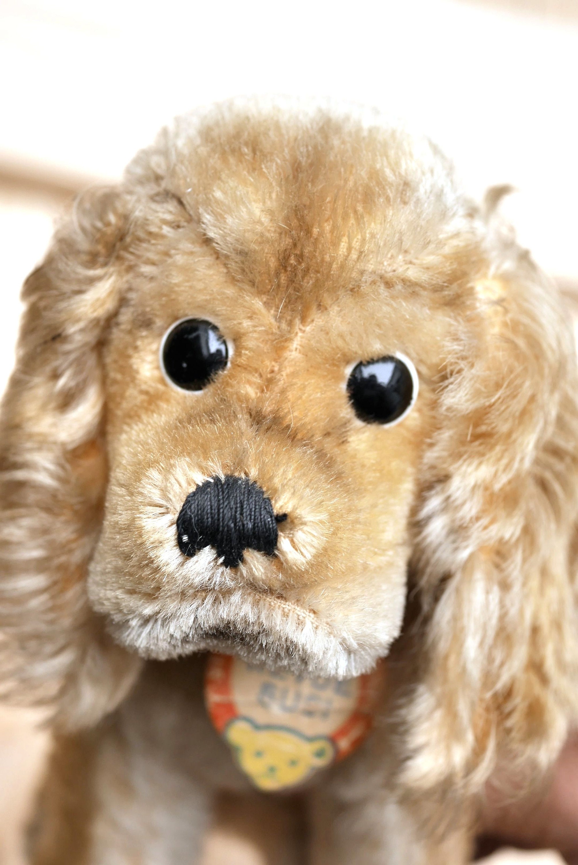 Vintage STEIFF Dog REVUE SUSI, 4300/17, With Breast Plate, '60s, 17 Cm ...