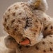 Vintage STEIFF Sleepy Leopard Floppy With Rattle, 25 Cm, 1960s With ...