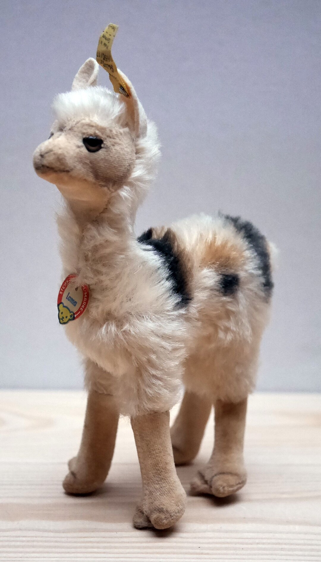 Original Steiff Lama, 0650/17 With All Ids, Button, Flag and Bear Head ...