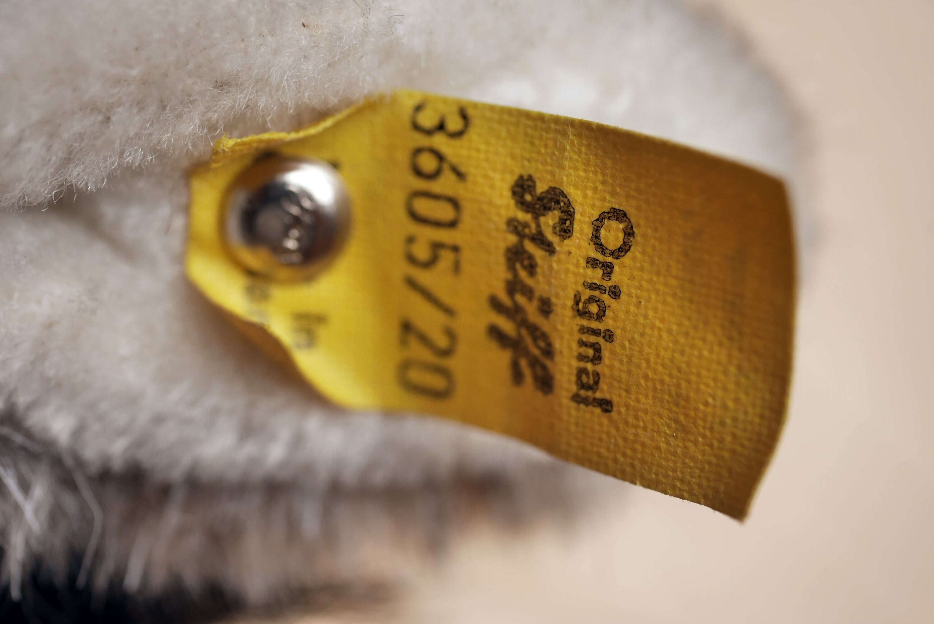 Steiff Donkey Grissy 3605/20, With Button, Flag and Shield, 1980, 22 Cm ...