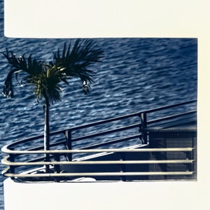 Miami Views Portrait Photography - Etsy