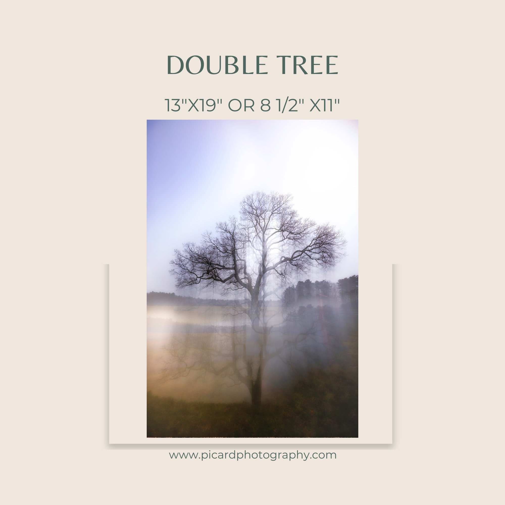 Double Tree Portrait Photography - Etsy UK