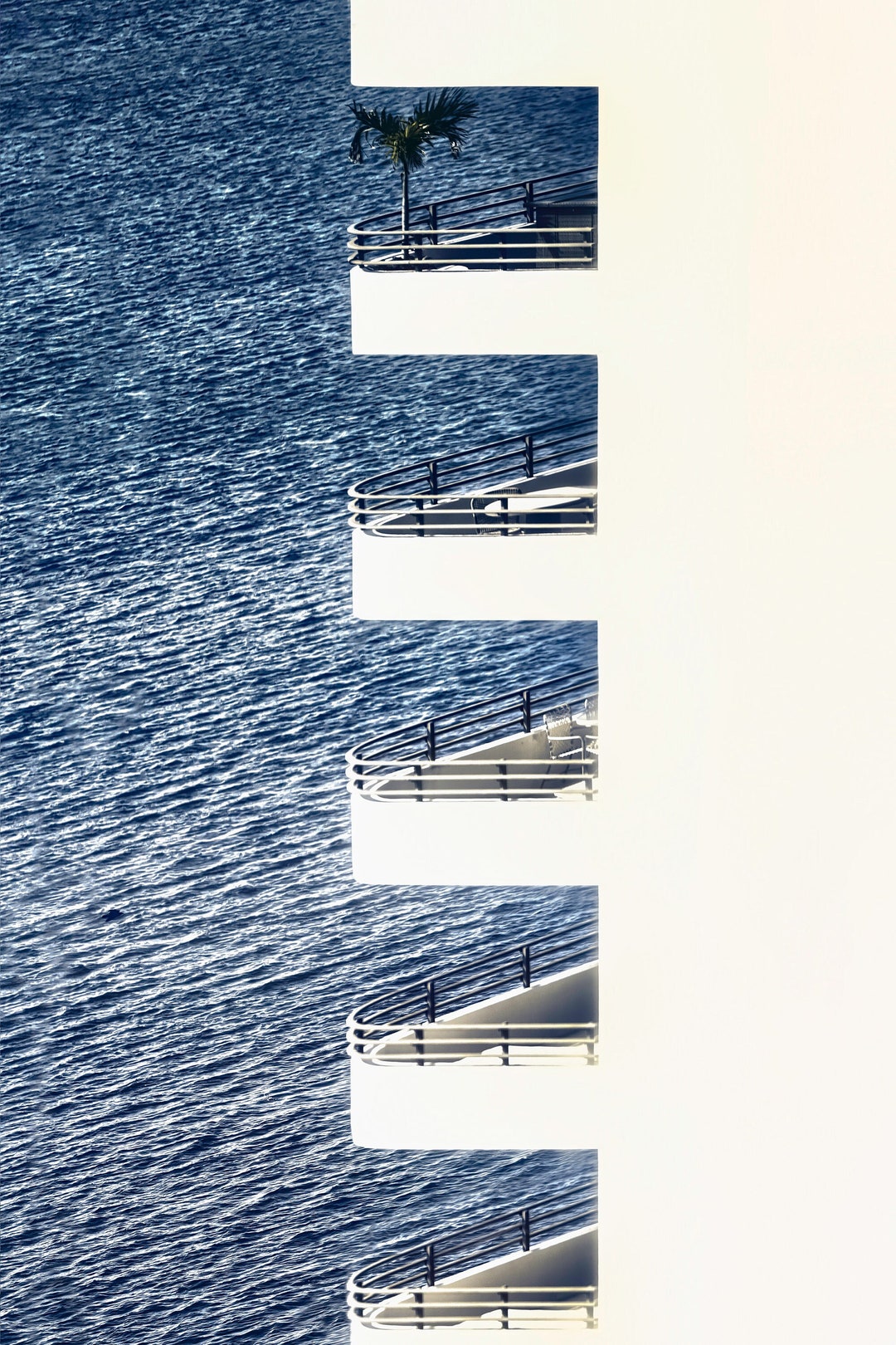 Miami Views Portrait Photography - Etsy