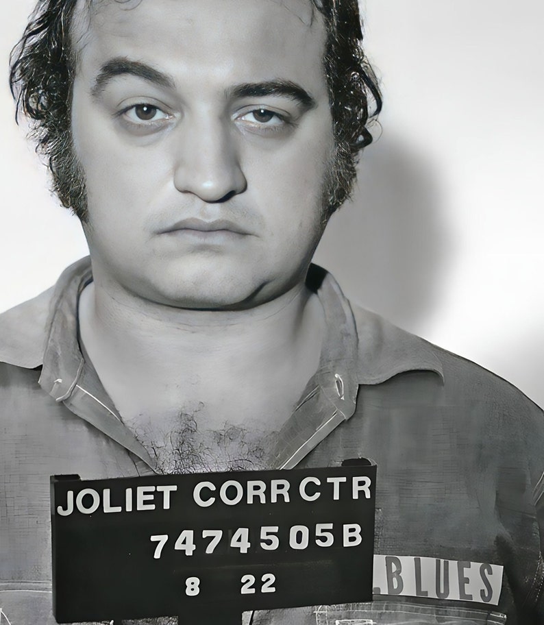 John Belushi Mugshot Print: Blues Brothers Movie, Retro Wall Art - Etsy