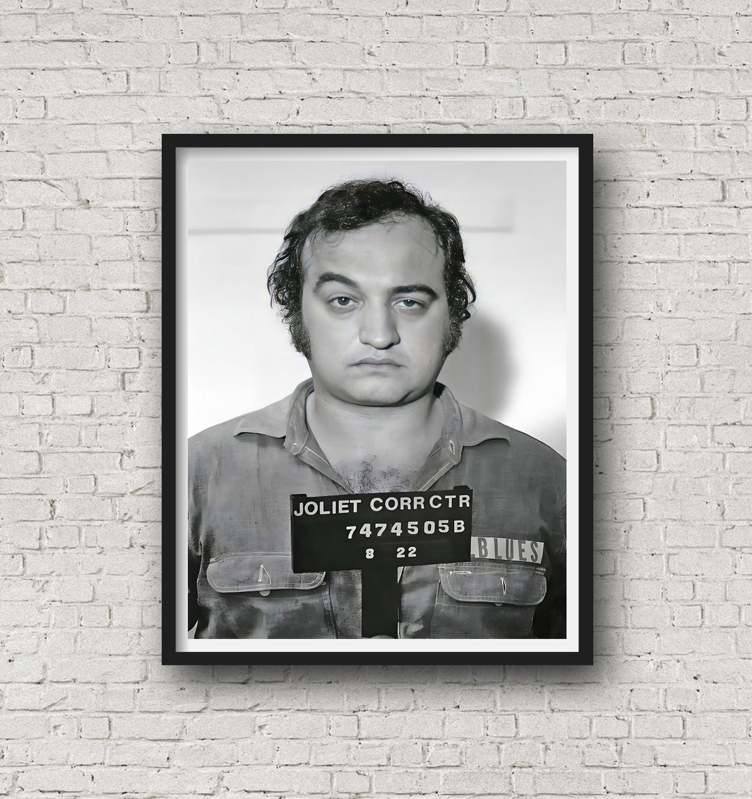 John Belushi Mugshot Print: Blues Brothers Movie, Retro Wall Art - Etsy