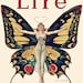 Life Magazine Cover | the Flapper | Feb 2,1922 | Museum Quality Print ...
