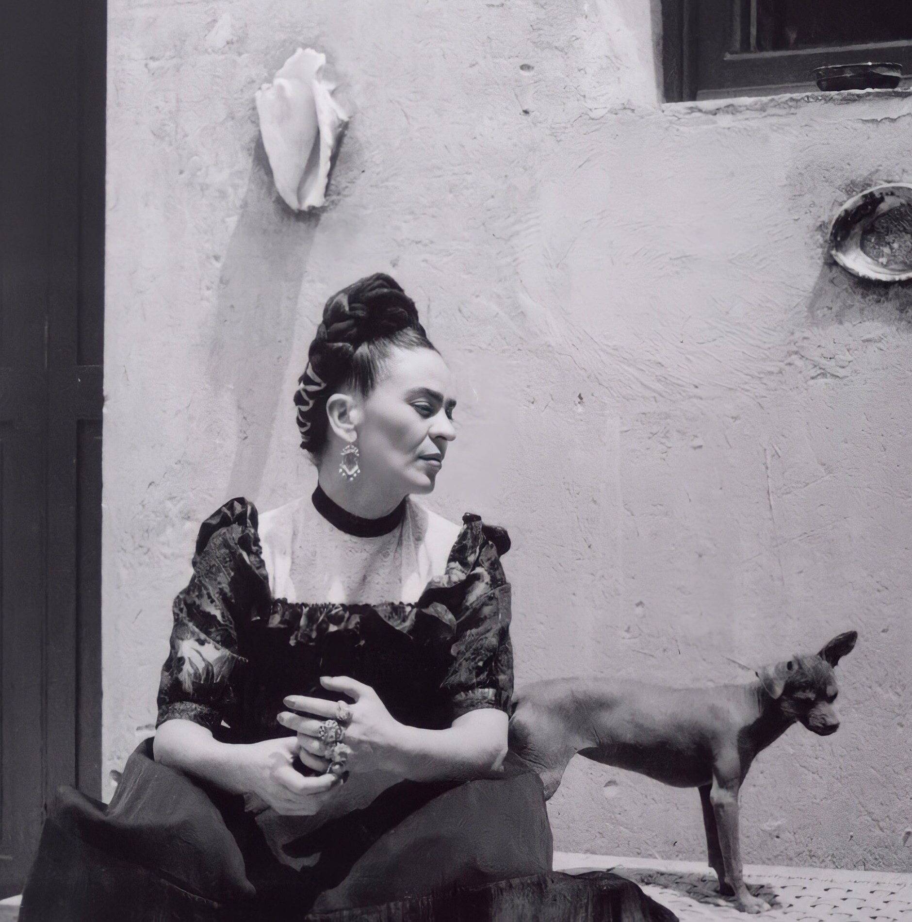 Frida Kahlo With Dog 1944 Museum Quality Print - Etsy