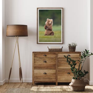 Brown Bear - "alaskan Teddy" - Etsy Canada